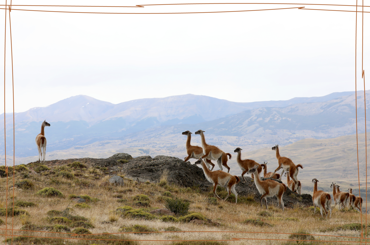 #GUANACONECTA EN – guanaconecta.com